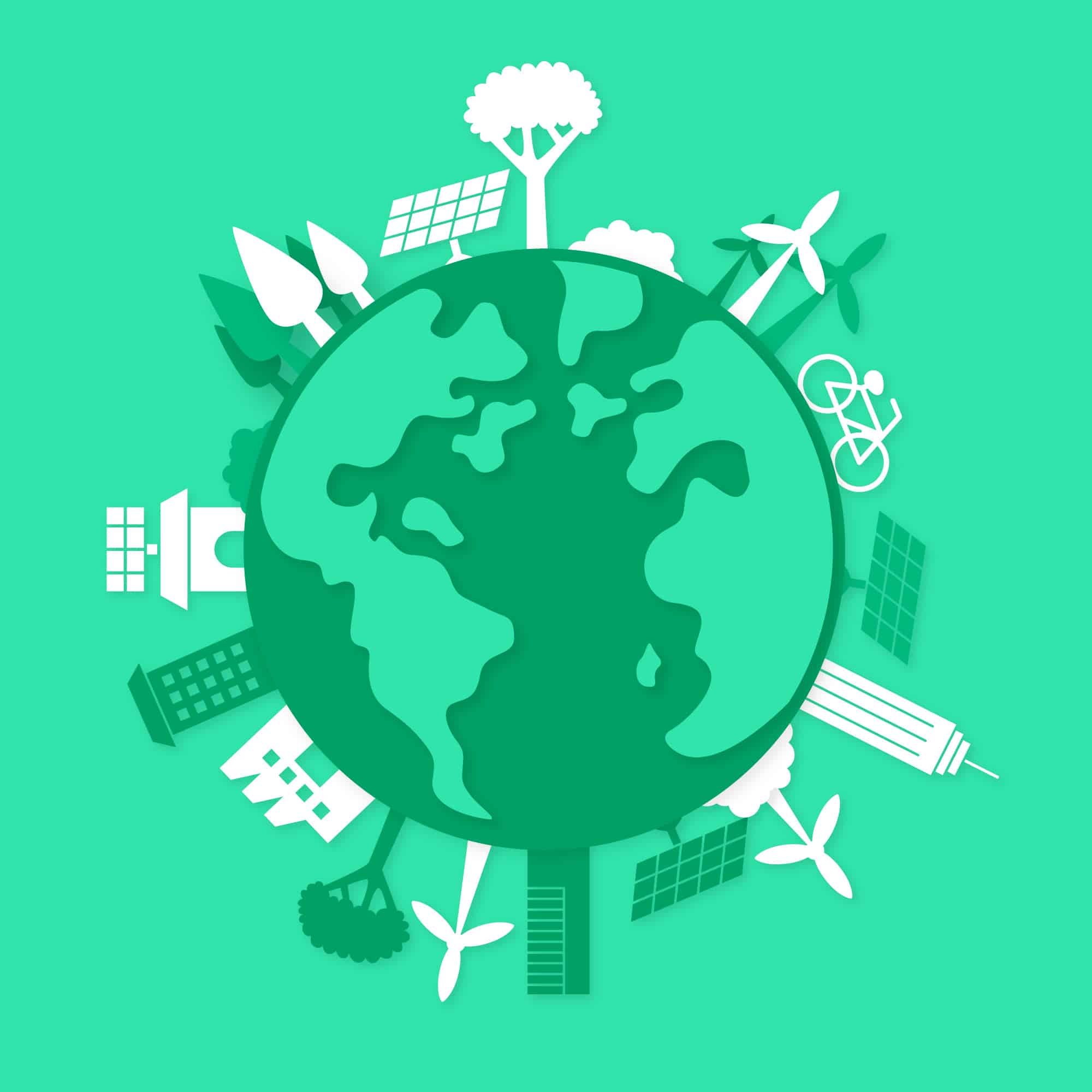 The Challenges of Sustainability in a Rapidly Growing Business